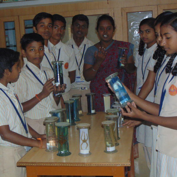 Maria Niketan English Higher Primary and High School, Bogadi