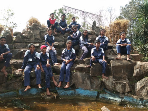 Maria Niketan English Higher Primary and High School, Bogadi